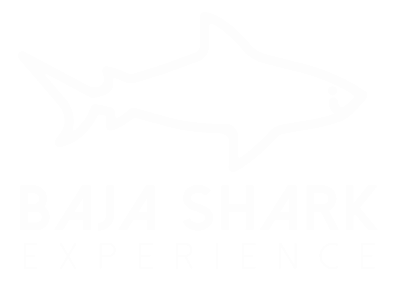 Cabo San Lucas Shark Dive | Baja Shark Experience