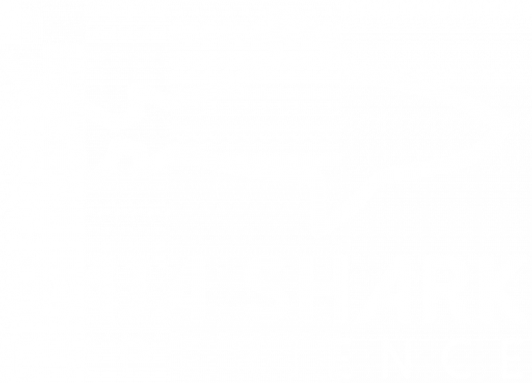 Cabo San Lucas Shark Dive | Baja Shark Experience